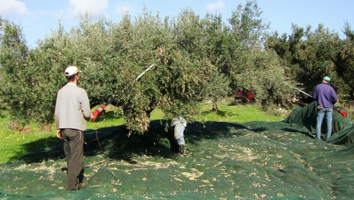 Εφημερίδα Θάρρος - Είδησεις από την Καλαμάτα, Μεσσηνία