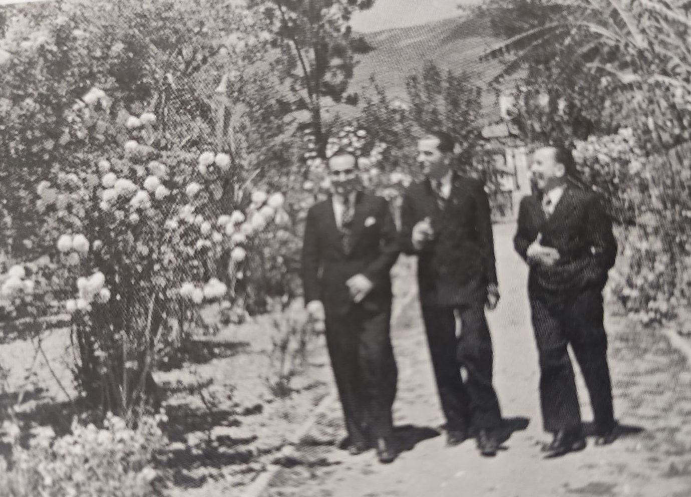 ΑΡΦΑΡΑ-ΚΑΛΑΜΑΤΑΣ-ΜΕΣΣΗΝΙΑΣ