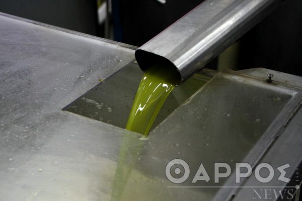 Ημερίδα για επιμολύνσεις στο ελαιόλαδο και νέους αγρότες - ΕΦΗΜΕΡΙΔΑ ΘΑΡΡΟΣ
