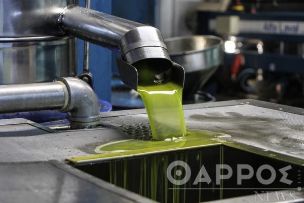 Ανησυχία στην ελληνική ελαιοκομία για πιθανές επιπτώσεις του ...