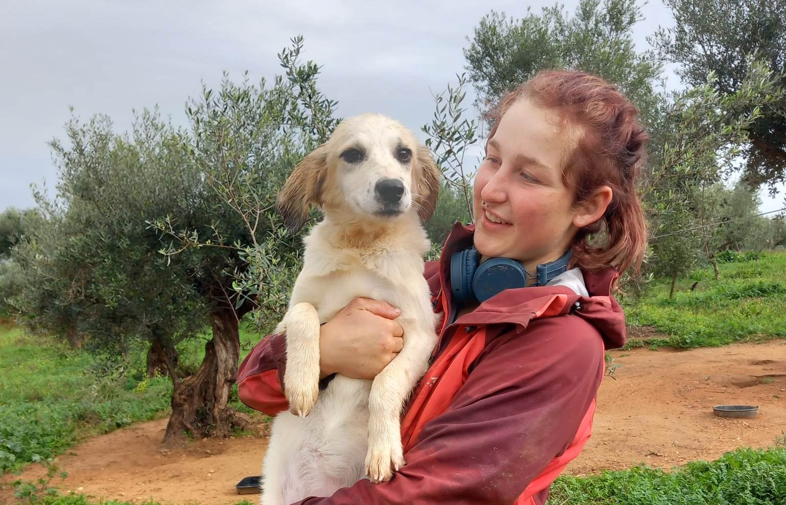 Φιλοζωικός Όμιλος Καλαμάτας: Στα όρια της απόγνωσης από την αύξηση των ...