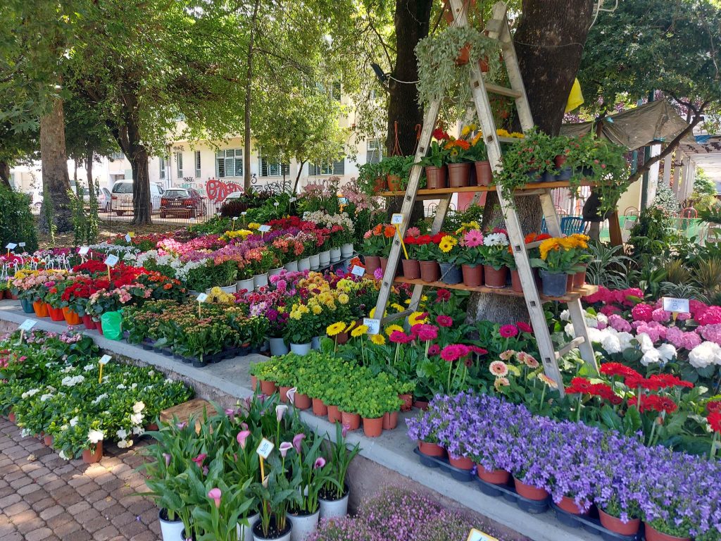 Άνοιξε τις πύλες της η 10η Ανθοκομική Έκθεση Καλαμάτας - ΕΦΗΜΕΡΙΔΑ ΘΑΡΡΟΣ