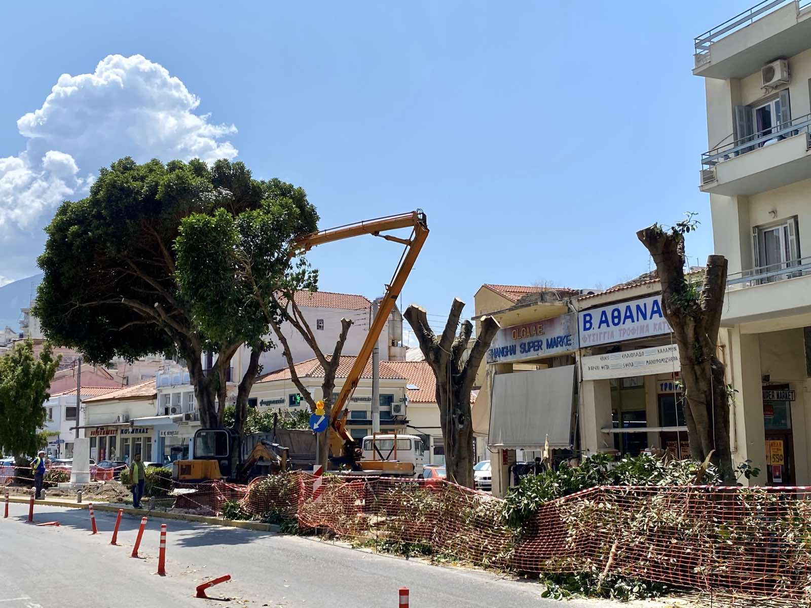 Αντιδράσεις περίοικων για κοπή δέντρων - ΕΦΗΜΕΡΙΔΑ ΘΑΡΡΟΣ
