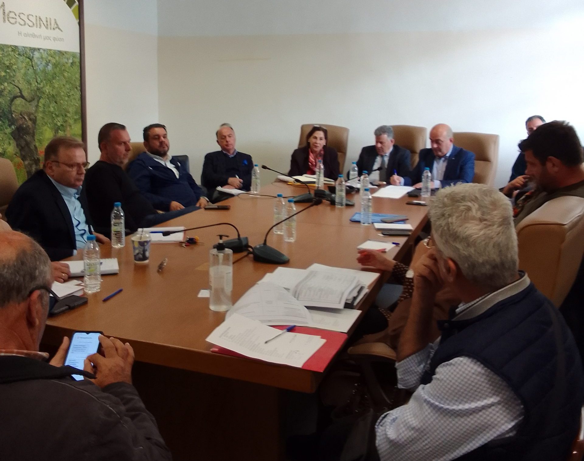 Π.Ε. Μεσσηνίας: Ευρεία σύσκεψη για αθλητικά και πολιτιστικά έργα ...