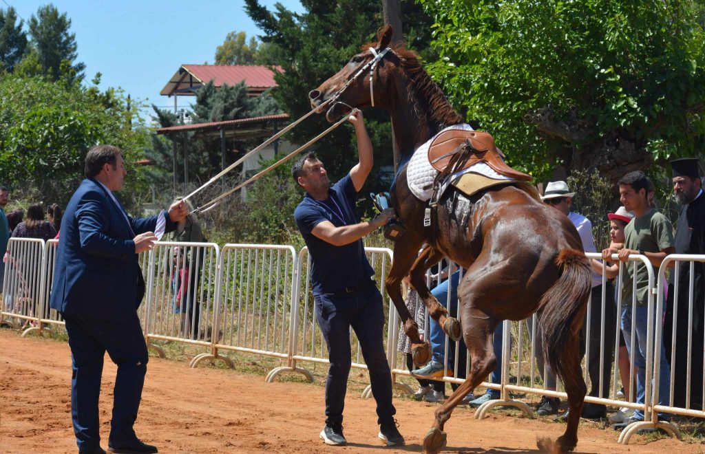 Εντυπωσίασαν οι ιππικοί αγώνες ανήμερα του Αγίου Γεωργίου στο Πλατύ ...