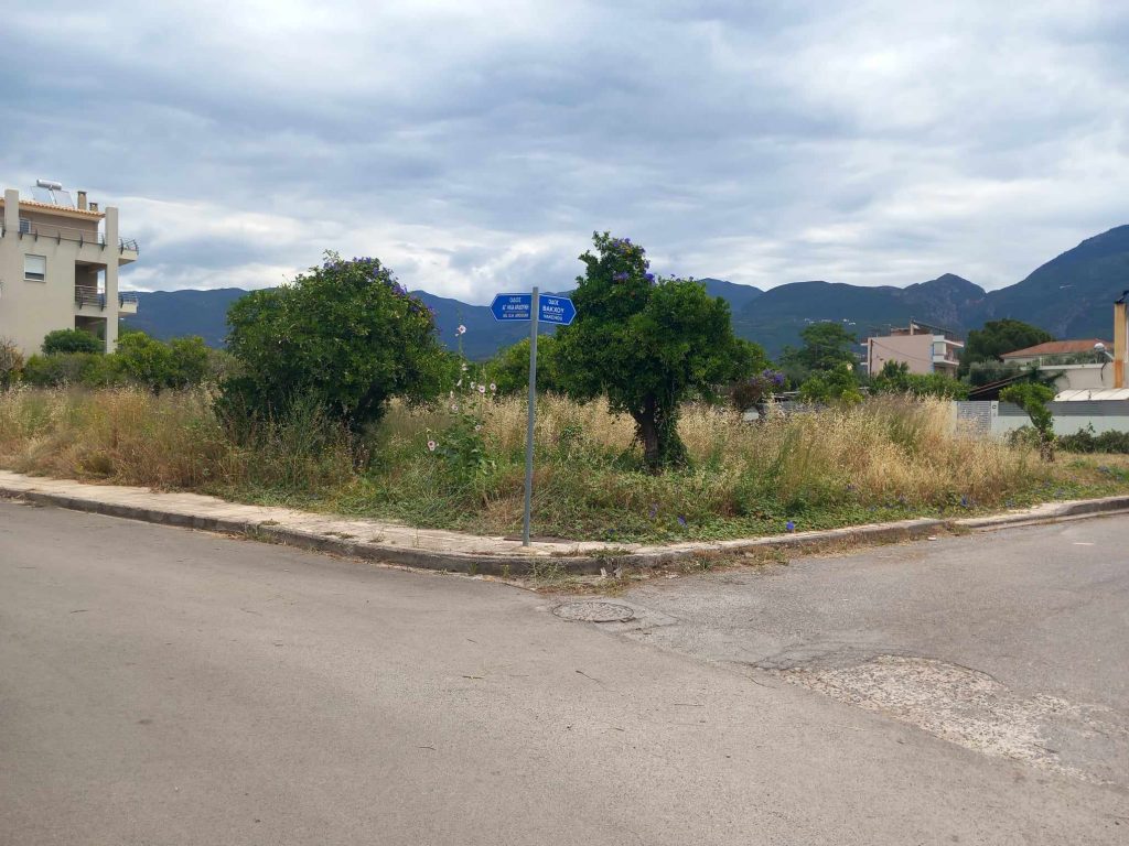 Οδός Λακωνικής… - ΕΦΗΜΕΡΙΔΑ ΘΑΡΡΟΣ