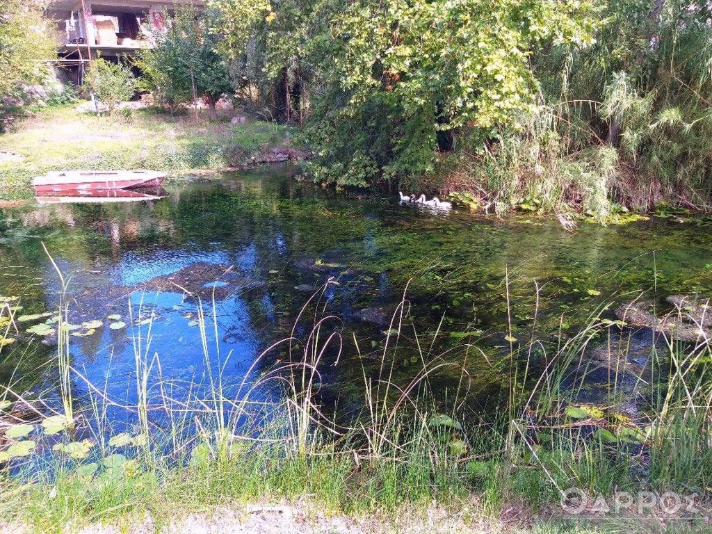 «Πάμε Βόλτα» σε έναν ιδιαίτερο υδάτινο πόρο της Μεσσηνίας - ΕΦΗΜΕΡΙΔΑ ...