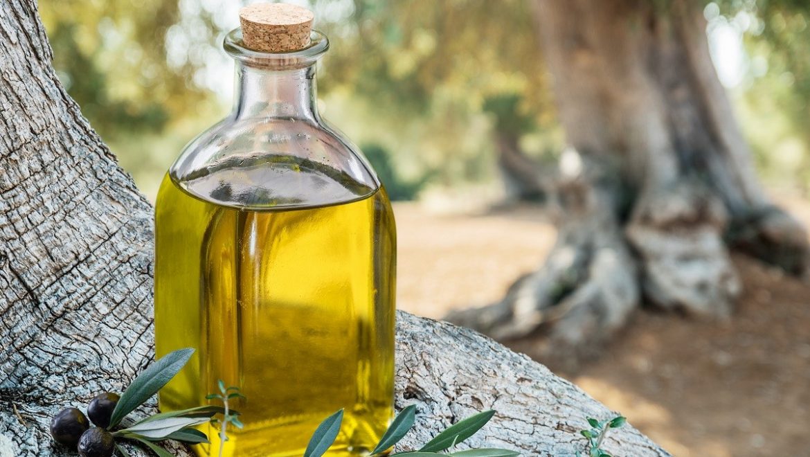 Ελαιόλαδο: Πόσο πουλιέται ο τενεκές - Η τιμή σε Λακωνία, Μεσσηνία ...