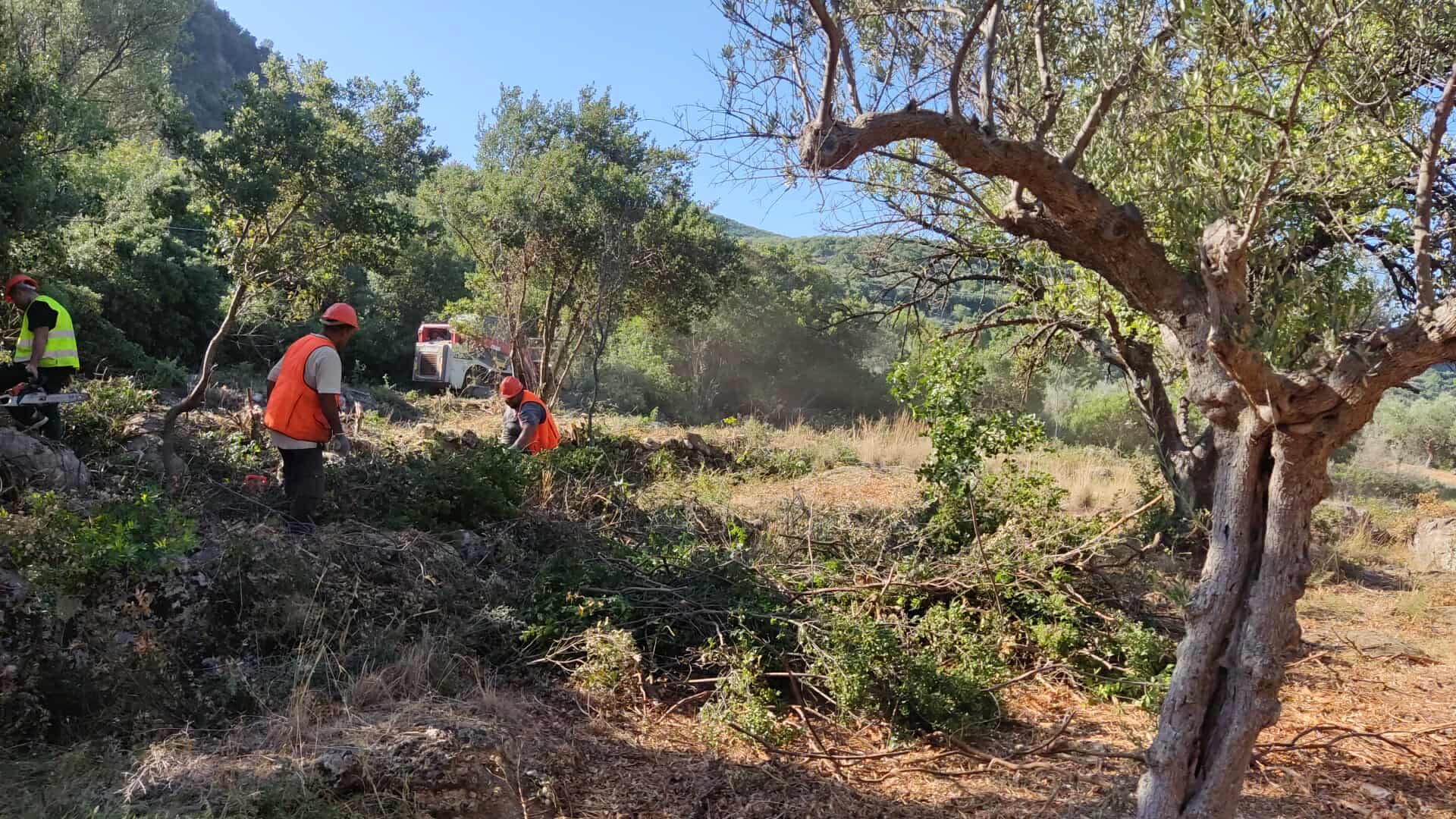 Δήμος Καλαμάτας: Σε εξέλιξη το έργο για την ενίσχυση της πυροπροστασίας ...