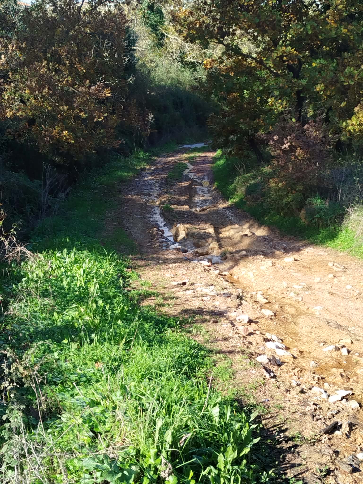 Δύσβατος και χωρίς γεφυράκι πλέον αγροτικός δρόμος στο Μεσοπόταμο ...
