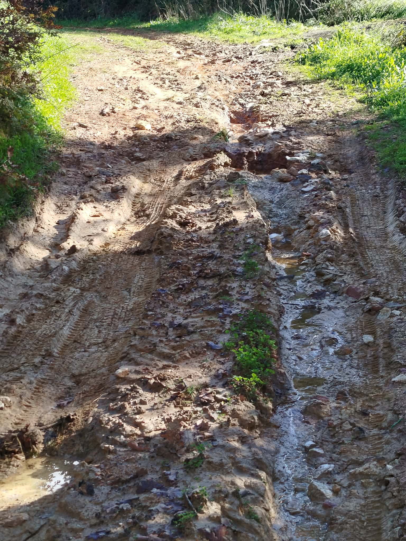 Δύσβατος και χωρίς γεφυράκι πλέον αγροτικός δρόμος στο Μεσοπόταμο ...